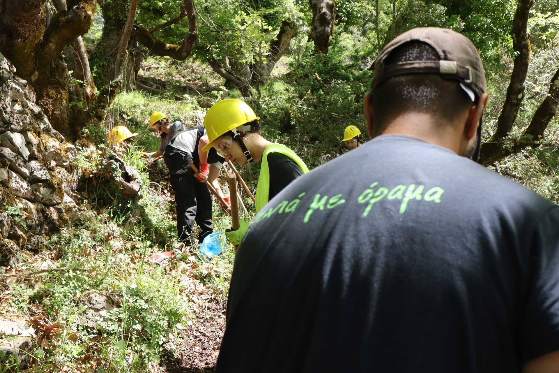 Program Development – ECOGENIA